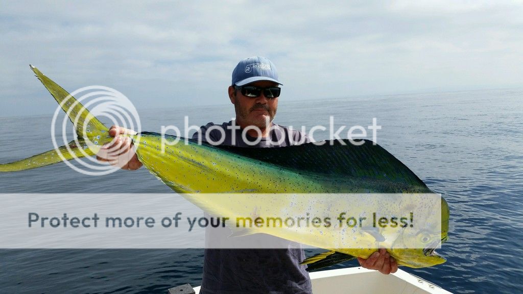 Offshore - Bull Mahi in OC | Bloodydecks